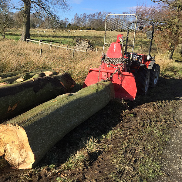 Specialist Forestry Equipment & Subcontractor Services